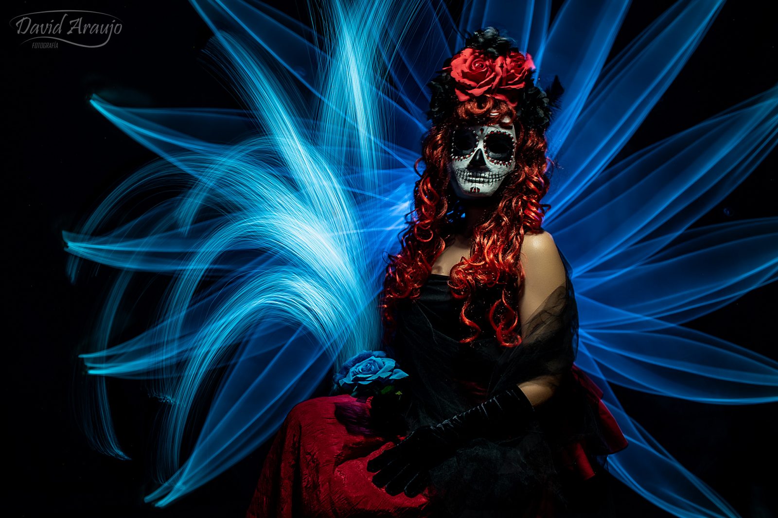 Catrina in Blue - DAVID ARAUJO